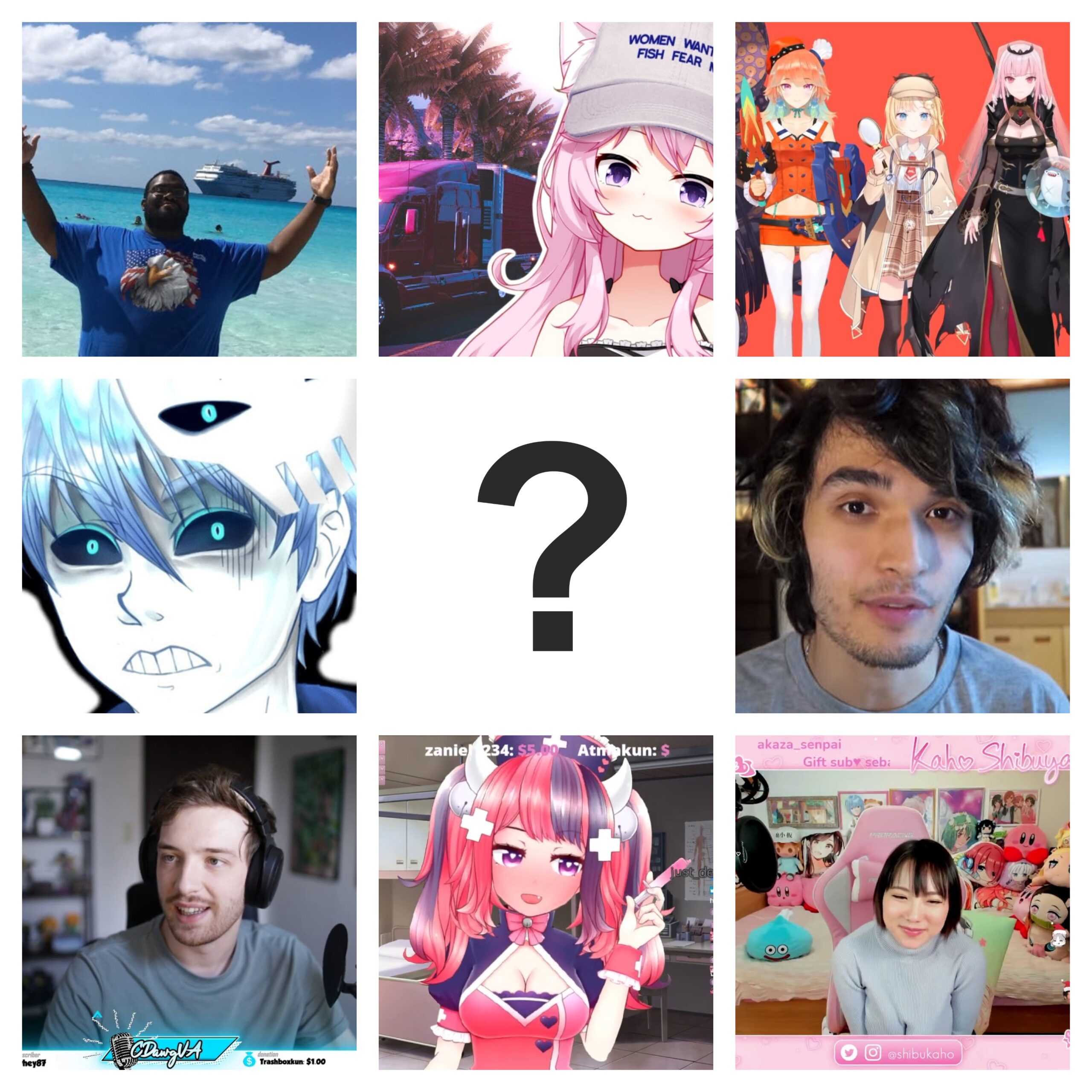 Who are the Best Anime Streamers? - Anime Streamers Ranked