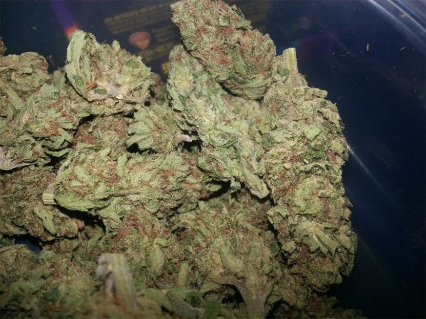 From Mood Lift to Creativity Boost: Unveiling the Magic of Sativa Strains