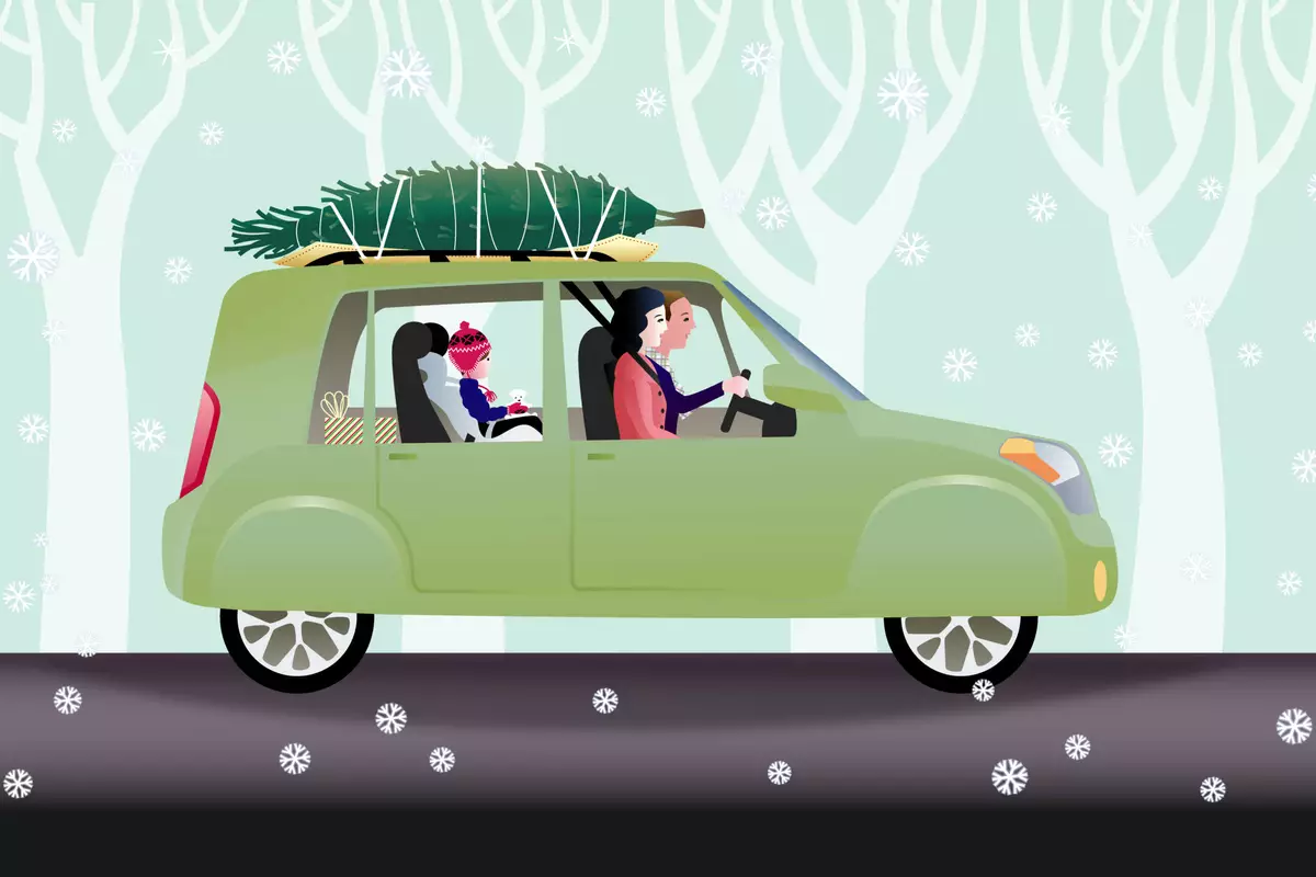 9 Tips for Transporting a Real Christmas Tree Without a Hitch - Bear Share